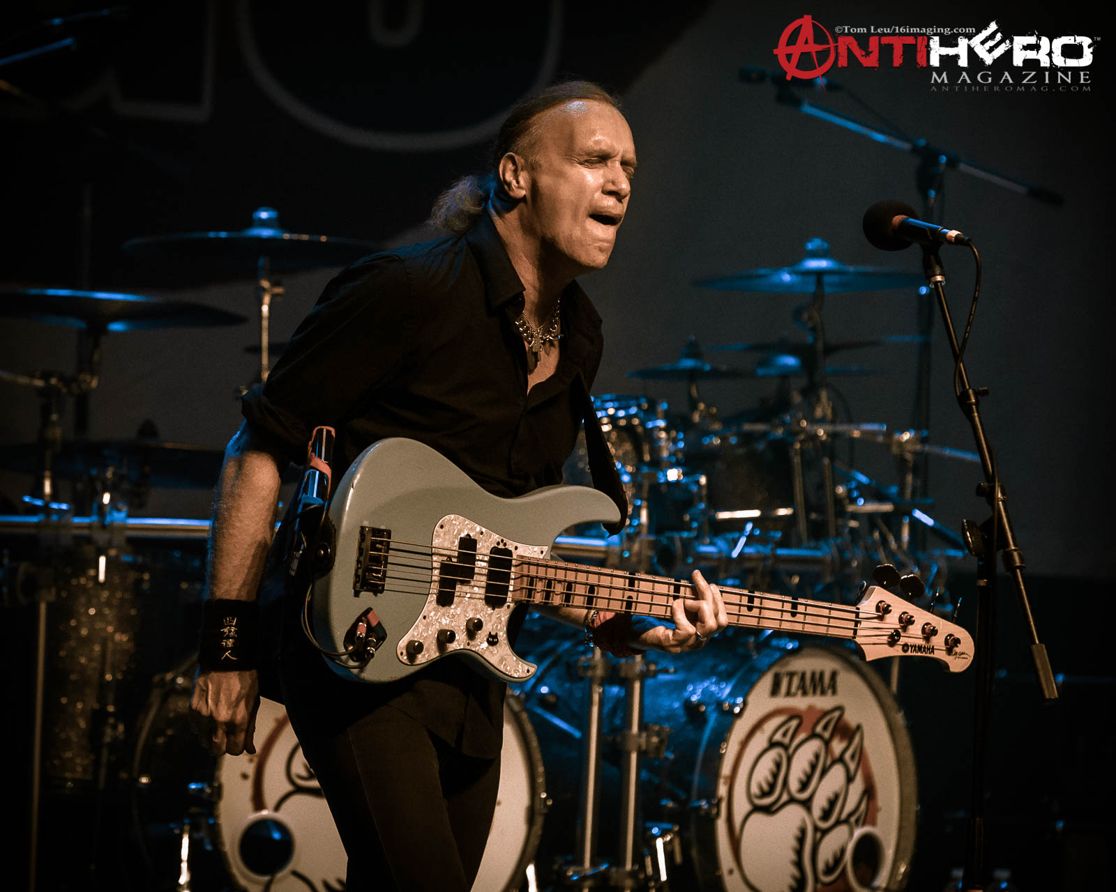 Interview: A Conversation with BILLY SHEEHAN - Antihero Magazine