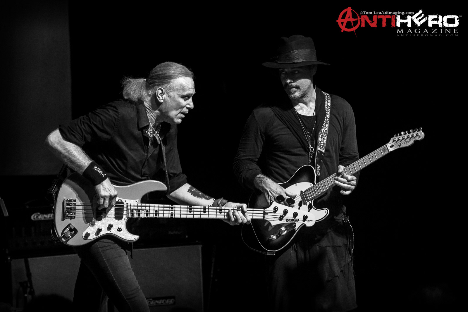 Interview: A Conversation with BILLY SHEEHAN - Antihero Magazine